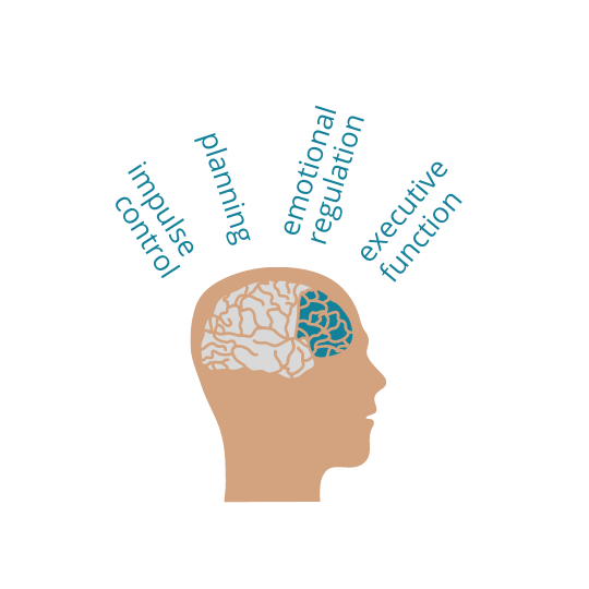 Brain Health Tips - How to Keep the Brain Healthy and Resilient