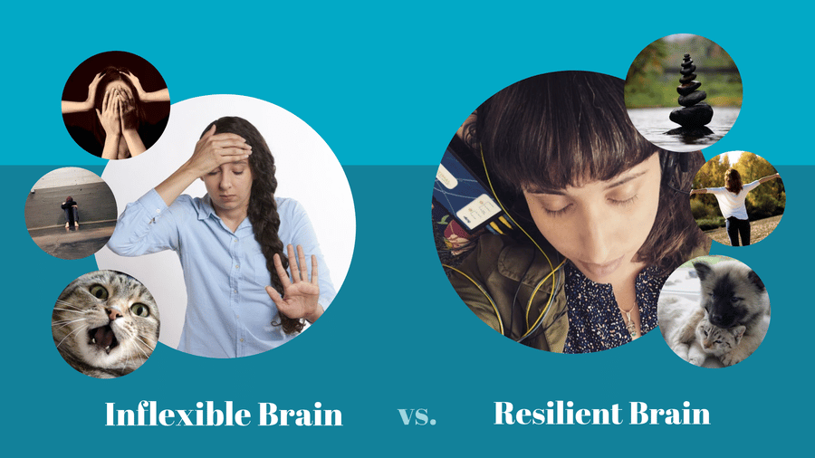 Why is it so difficult to relax? How to Calm Down Your Stress Response