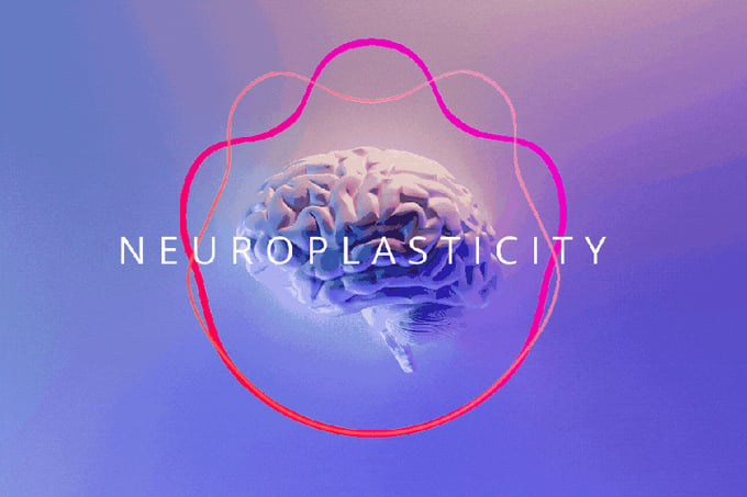 Our Habitual Brain & Stress Response - Neurofeedback Training Benefits