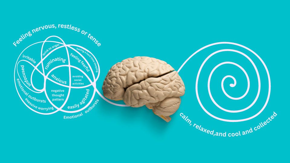 Ways to Keep your Brain Regulated and Reduce Stress